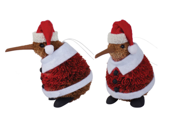 Kiwi Natural w Santa suit – Waitomo Glowworm Cave Online Gift Shop